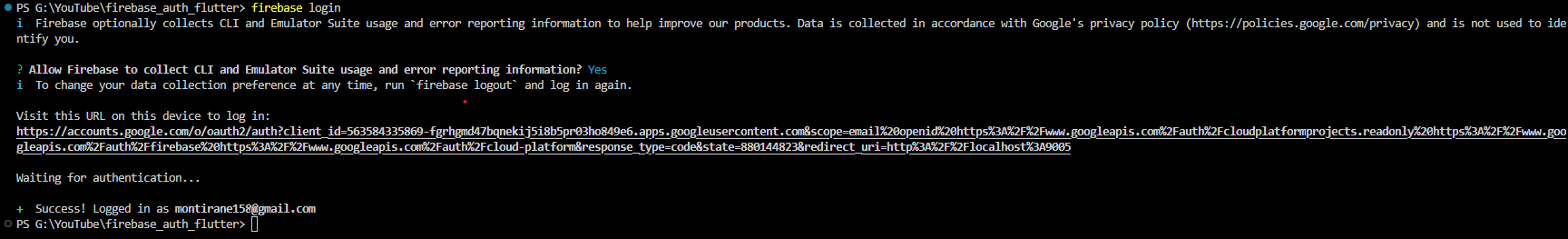 Integrate Firebase Project In Flutter Codewithmayank